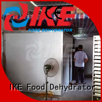 Commercial Dryer ,equipment for Drying Fruits and Vegetables | IKE