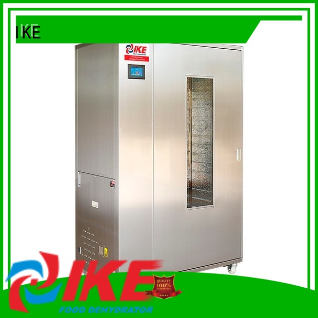 Laboratory Meat Dryer Machine Middle for Meat | IKE
