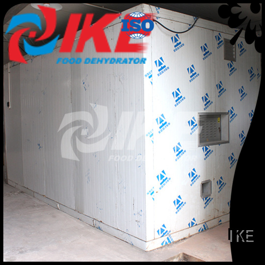 Electric Best Affordable Dehydrator Anti-temperature for Drying | IKE