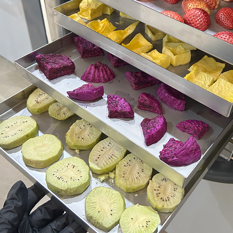 FVD-H6 All-in-One Portable Food Freeze Dryer Machine for Laboratory and ...