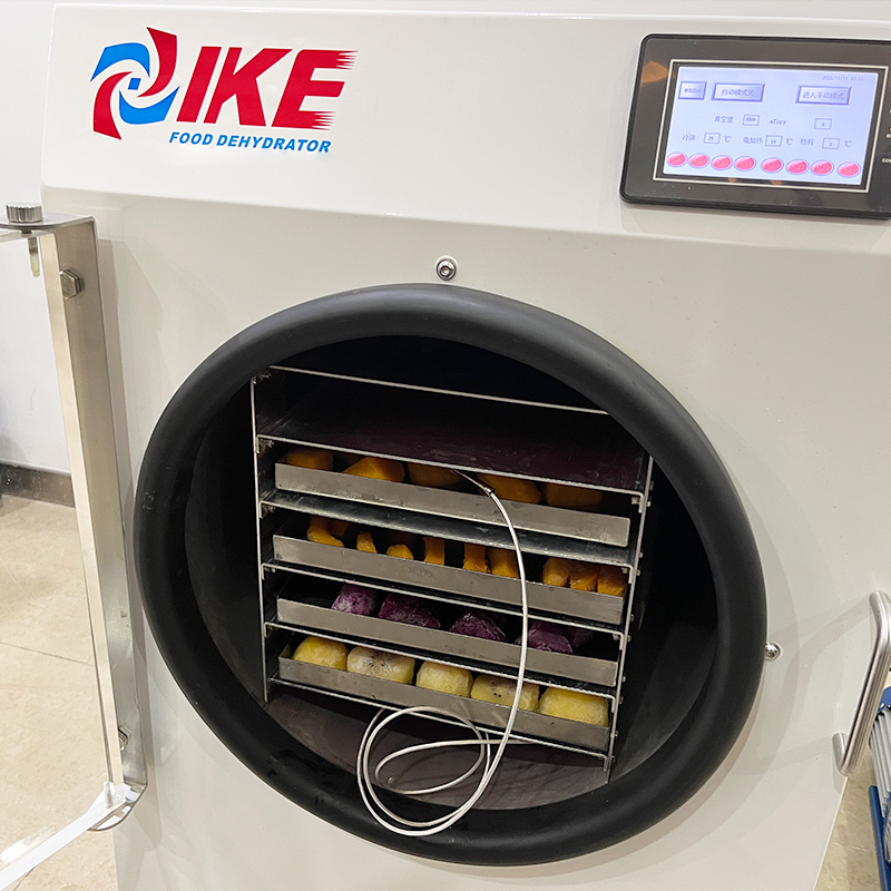 IKE FVD-H6 Commercial Food Freeze Dryer – Compact & Efficient Freeze ...