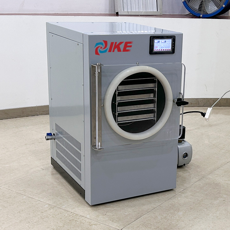 FVD-H4 Household Food Freeze Vacuum Dryer – 4kg Capacity, External ...