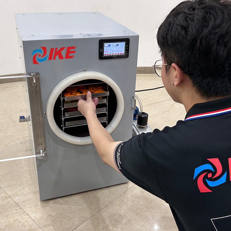 FVD-H4 Household Food Freeze Vacuum Dryer – 4kg Capacity, External ...