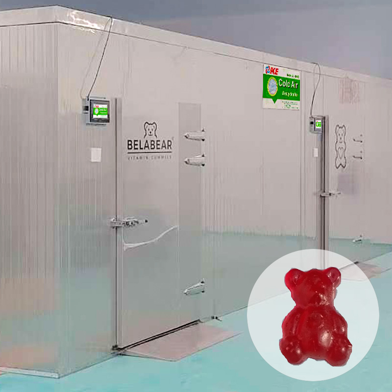 Low-Temperature Drying Solution for Gelatin Gummies in Mexico | IKE EMB ...
