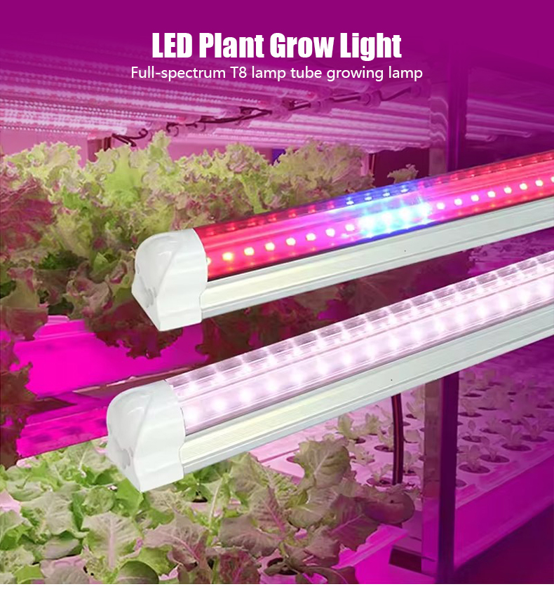 Full Spectrum Lights T8 Fluorescent Reflectors Indoor Hydroponic ...