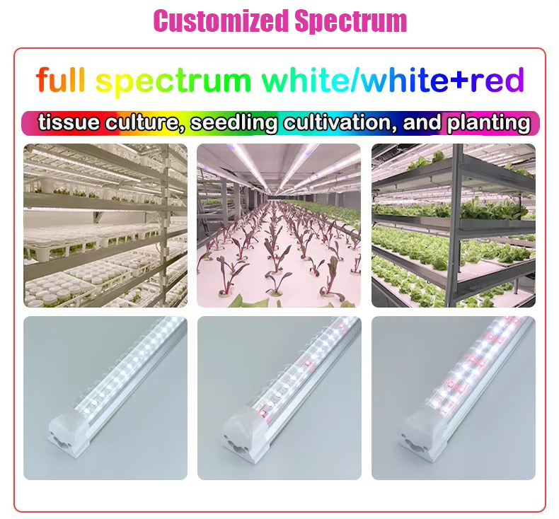 Full Spectrum Lights T8 Fluorescent Reflectors Indoor Hydroponic ...
