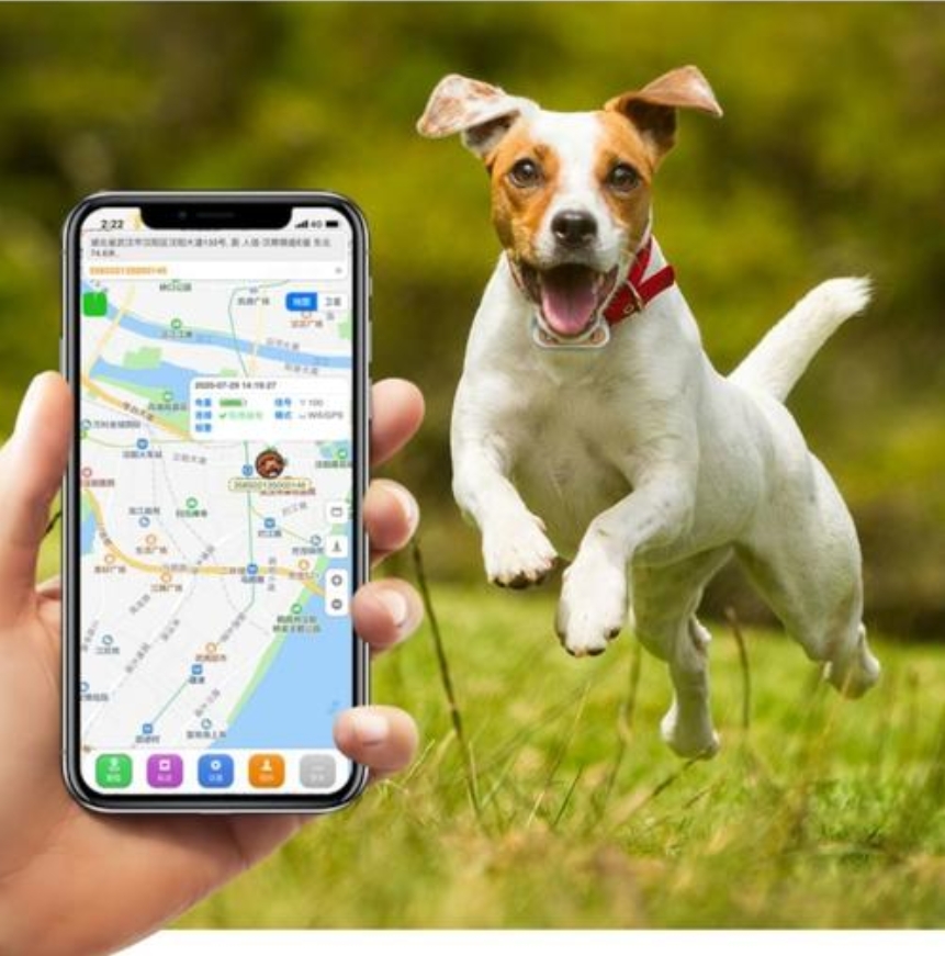 Analysis of the Principle of Pet Locator: a Magic Tool for Tracking Pet ...