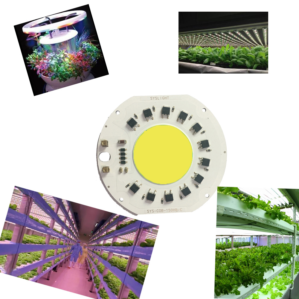 What Exhibitions Do Rgb Cob Led Chip Manufacturers Attend? - Learnew