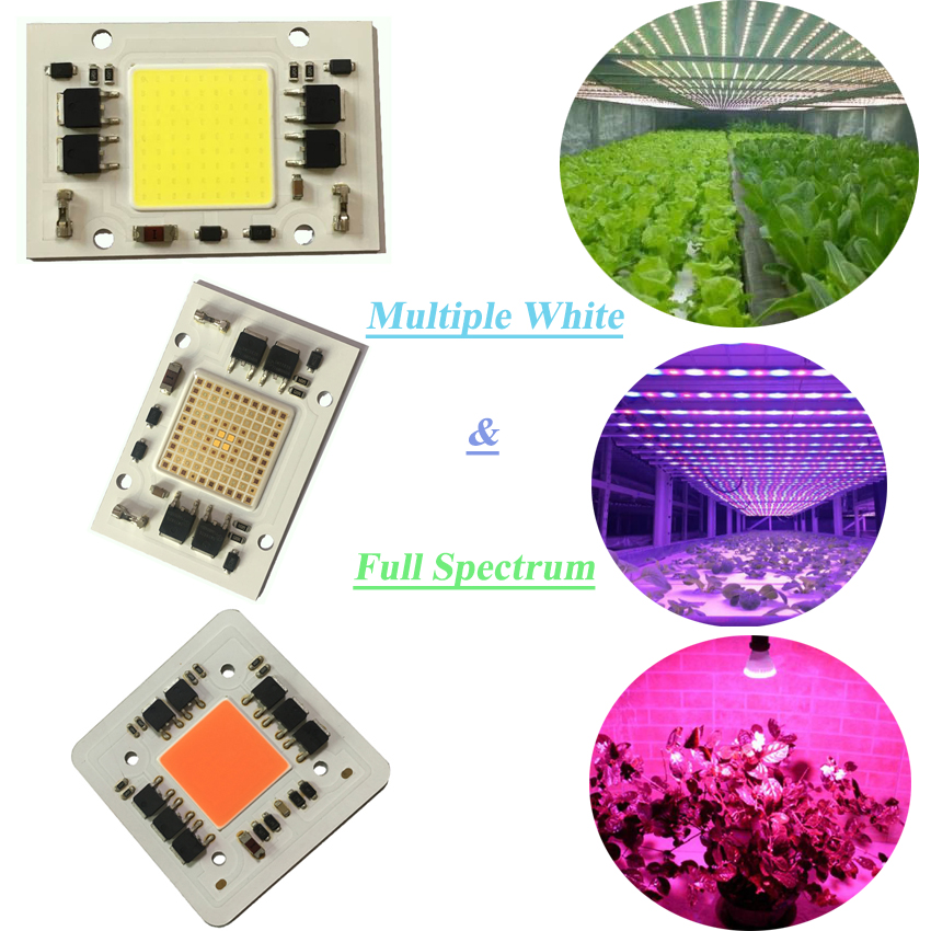 How Long Will It Take If I Want High Power Led Chip Sample? - Learnew