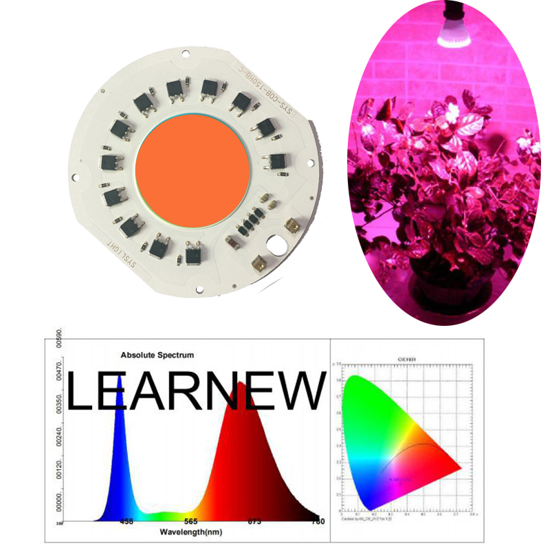 What Companies Are Producing Flip Chip Led Technology ? - Learnew