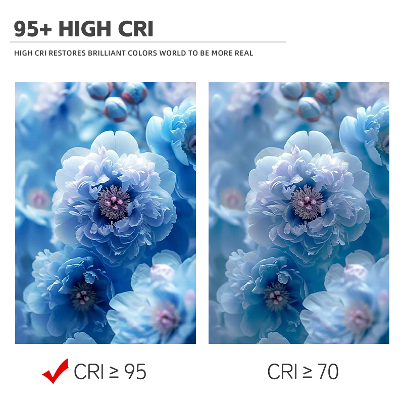 Adjustable Cct Cob Led 195-205v 2500k 6500k Dual Color Led 300w+300w ...