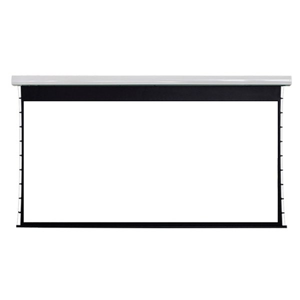 Normal Large Portable Projector Screen From China for PC | XY Screens