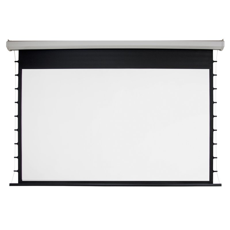 Motorized Projection Screen Stand Up Projector Screen | XY Screen