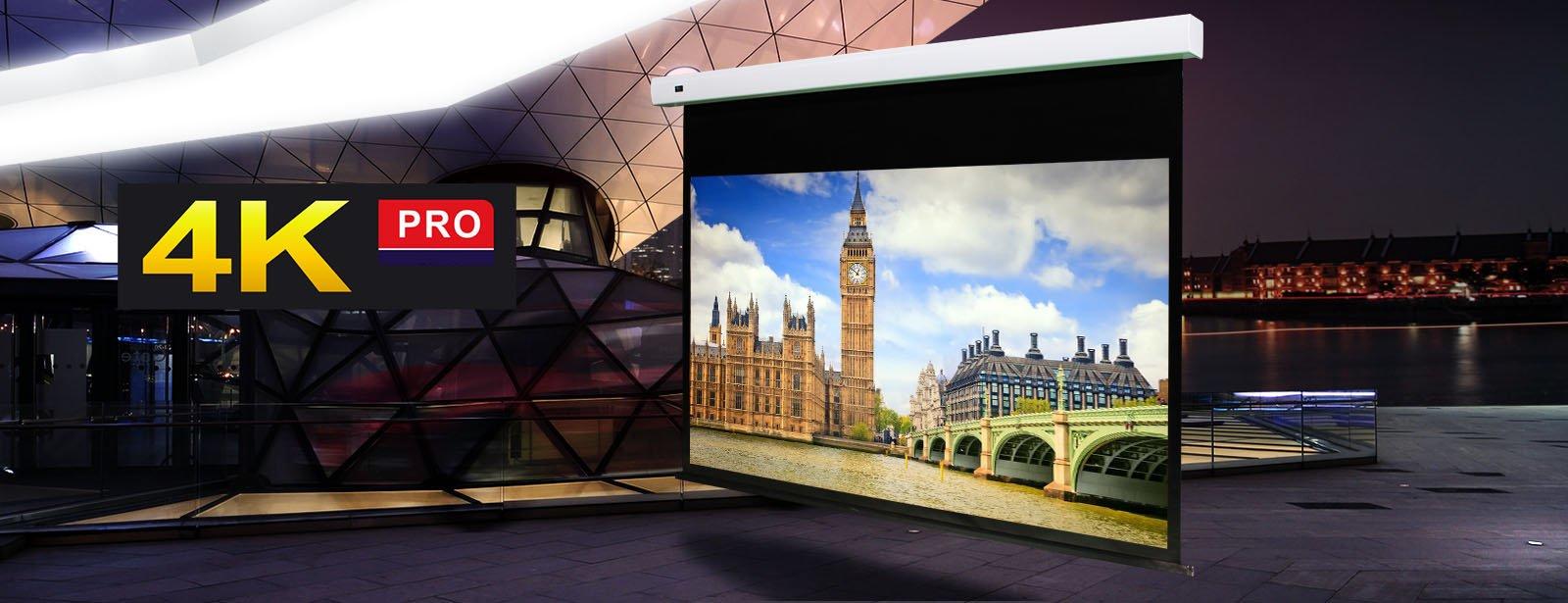 Theater Screen & Fixed Projector Screen And Projection Screen