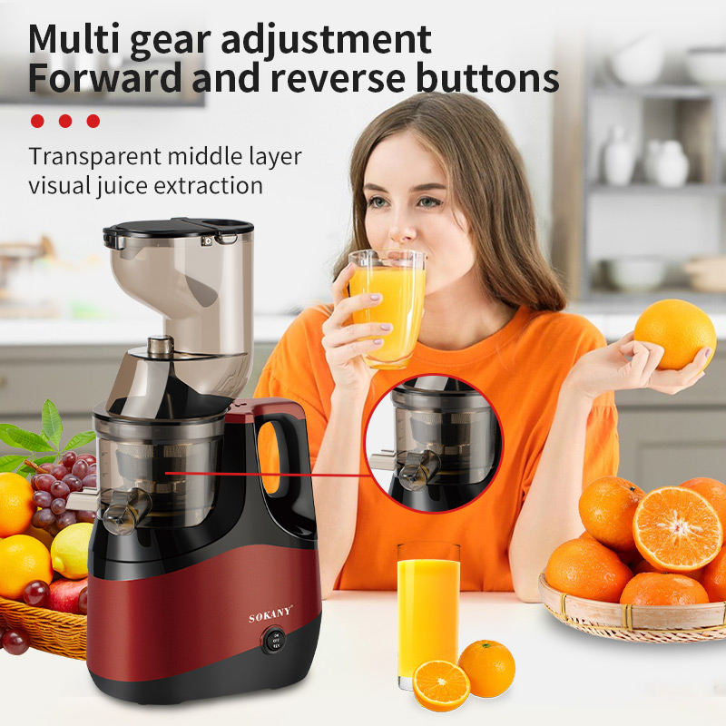 SOKANY Powerful Whole Slow Juicer Extractor SK-01005 Price