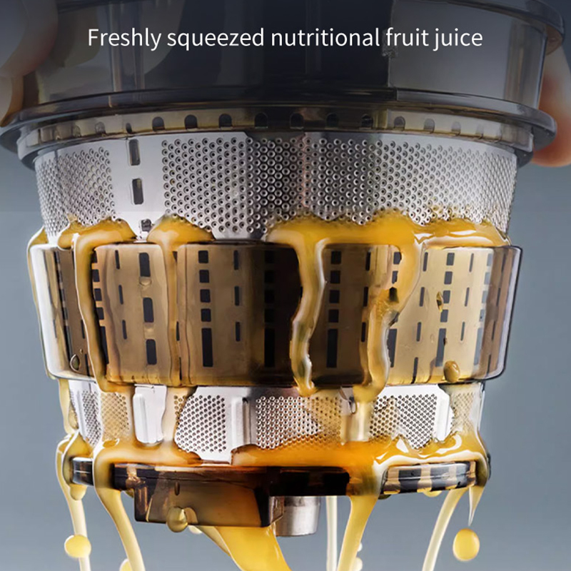 SOKANY Powerful Whole Slow Juicer Extractor SK-01005 Price