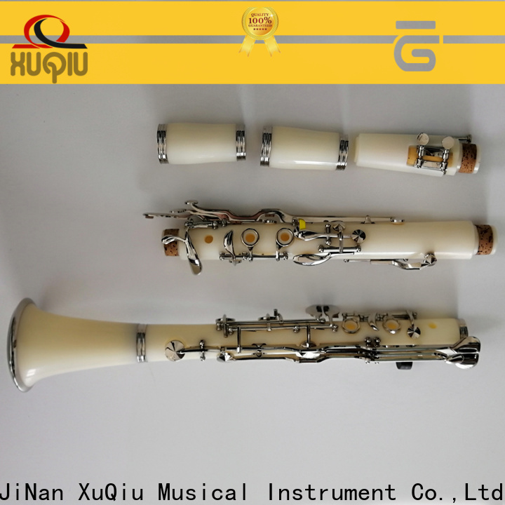 Buy G Clarinet for Sale Xcl302ard Woodwind Instruments for Beginner | XuQiu