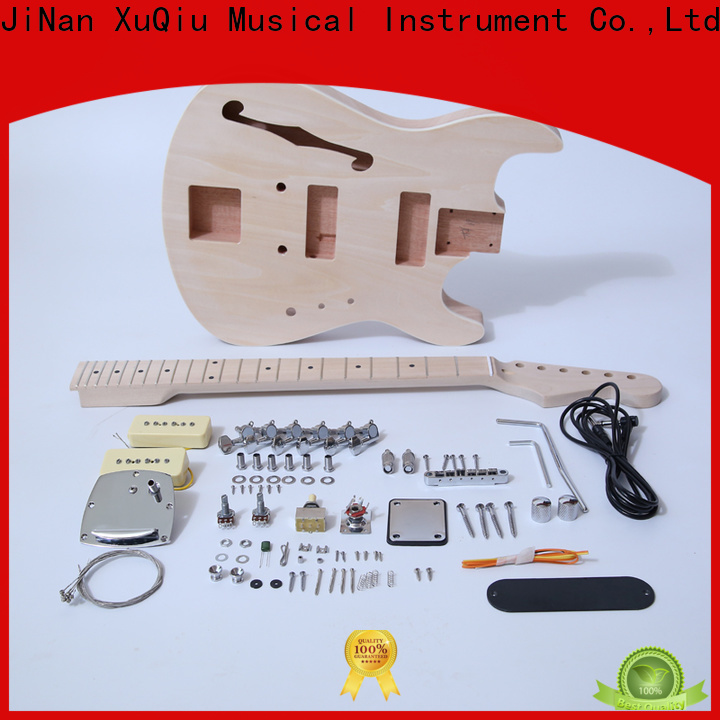 Top Surface Mount Guitar Pickup Guitar for Sale for Beginner | XuQiu