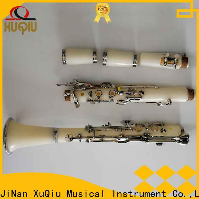Wholesale Borg Clarinet Xcl302r Woodwind Instruments for Student | XuQiu