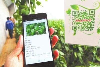The Seed Qr Code Label Printer Puts Safety Lock on Seeds | AROJET