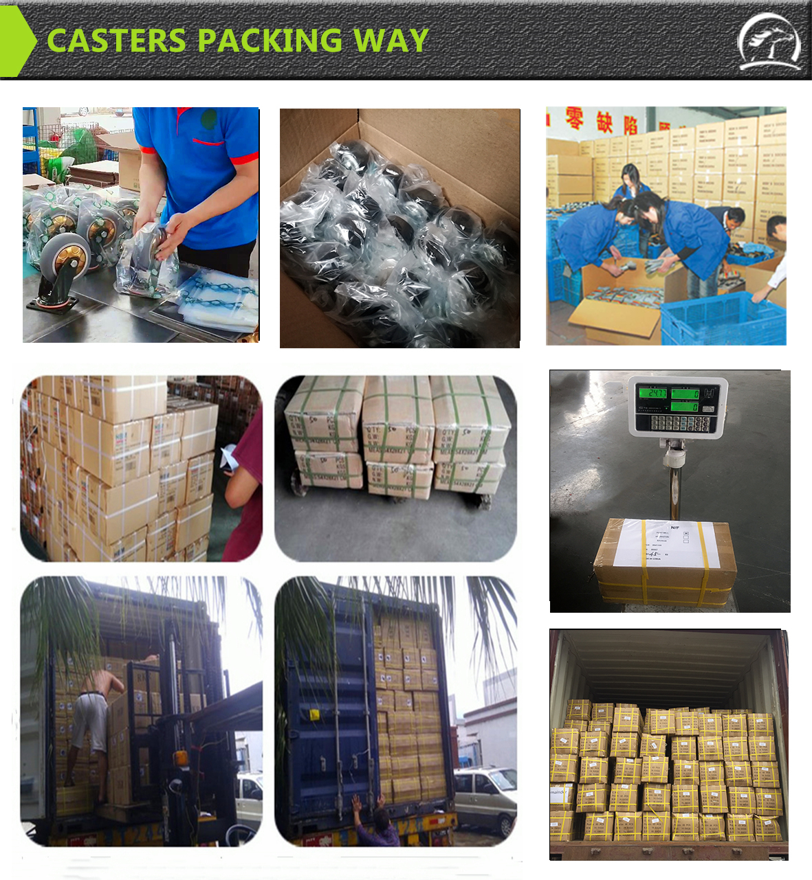 5 Inch Swivel Casters at Wholesale Prices | Dajin Caster