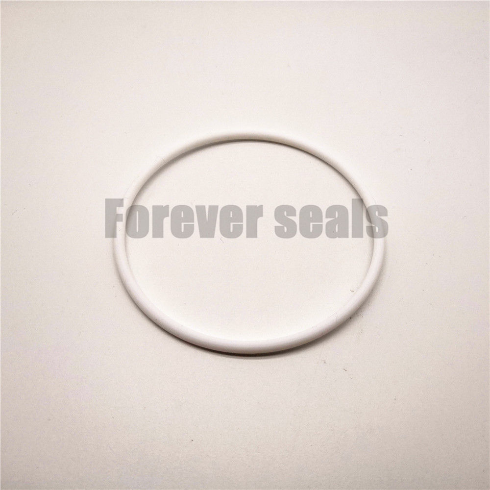 O-Ring | PTFE O-Ring | Forever Seals