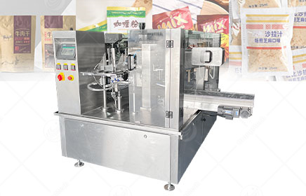 Stand-up Bag Packing Machine Horizontal Precision Filling and Sealing ...