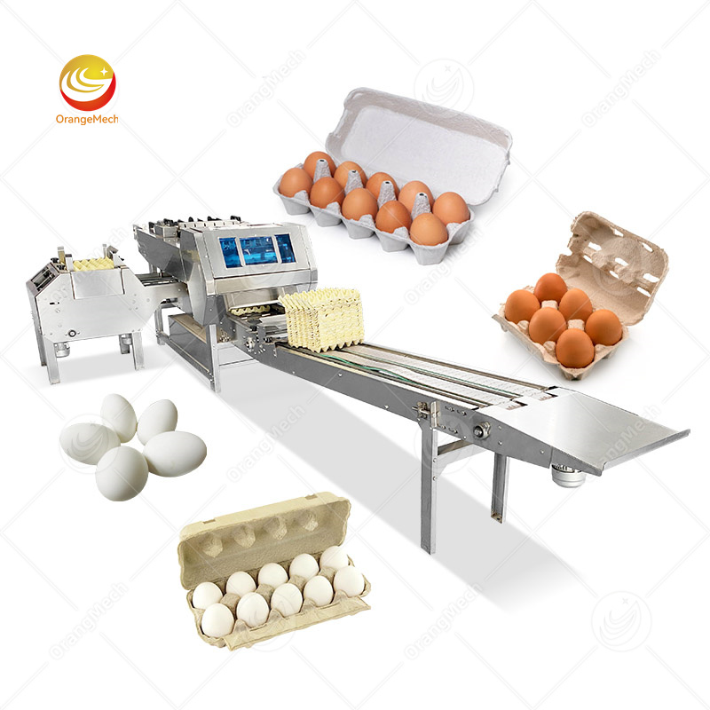 Automatic Egg Packing Machine for Sale High Efficiency for Farms ...