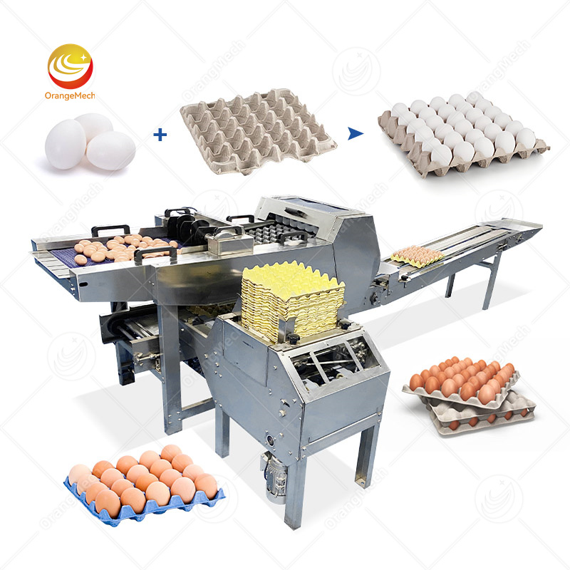 Automatic Egg Packing Machine for Sale High Efficiency for Farms ...