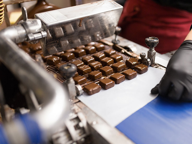 Chocolate Processing Machinery Buying Guide | OrangeMech