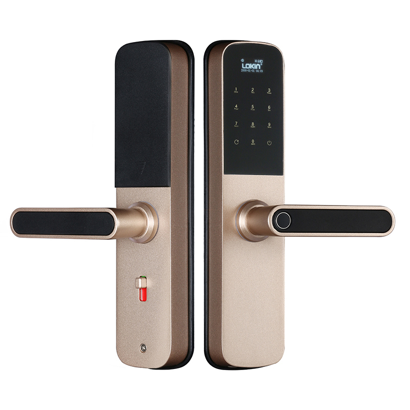 Wholesale China Door Locks Manufacturer & Supplier | Fuyu Lock