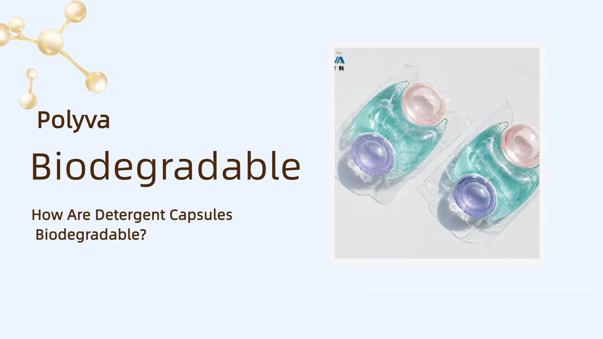 How Are Detergent Capsules Biodegradable?