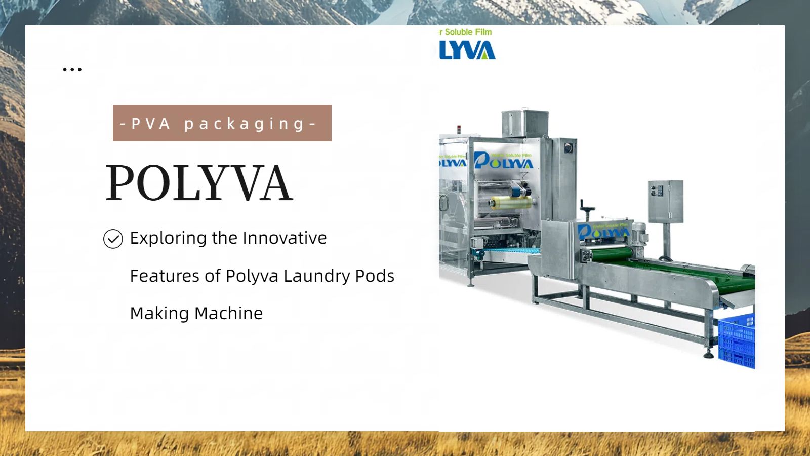 Innovative Features of Polyva Laundry Pod Machine