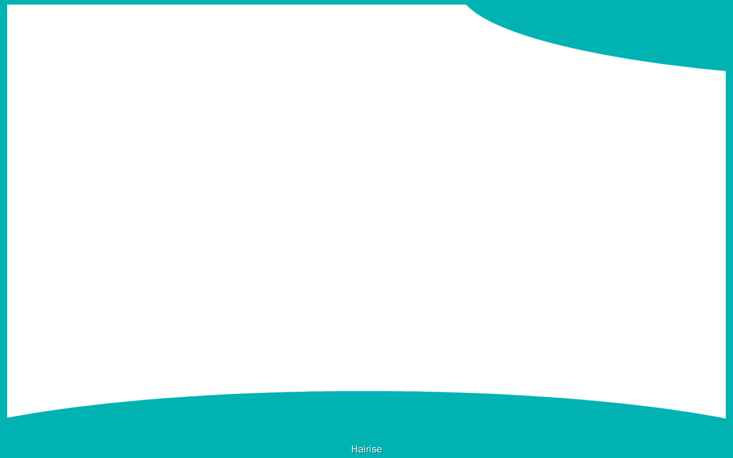 Hairise Plastic Finger Transfer Plates - Conveyor System Components