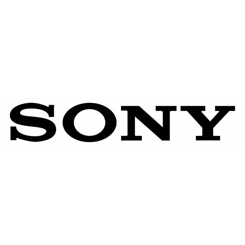 Novatek Socチップセット Sony OmnVision CMOSセンサー HEVC / H.265 IPカメラモジュール | ENSTER