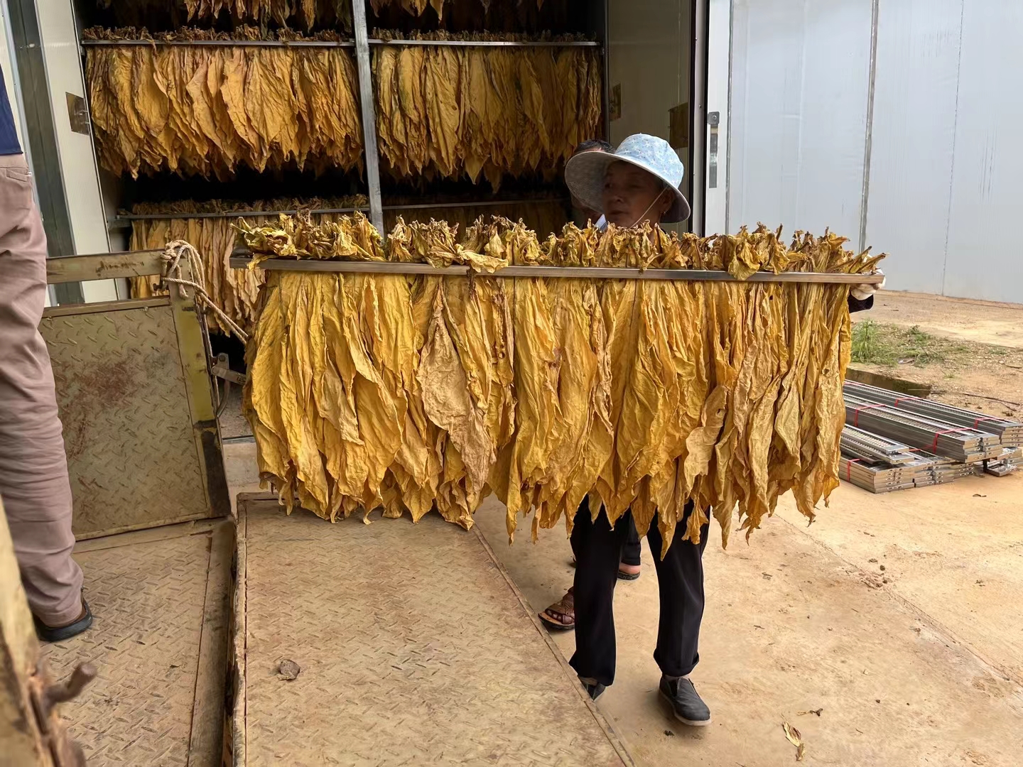 Changing Your Tobacco Curing with AIM Heat Pump Curing Barns | AIM