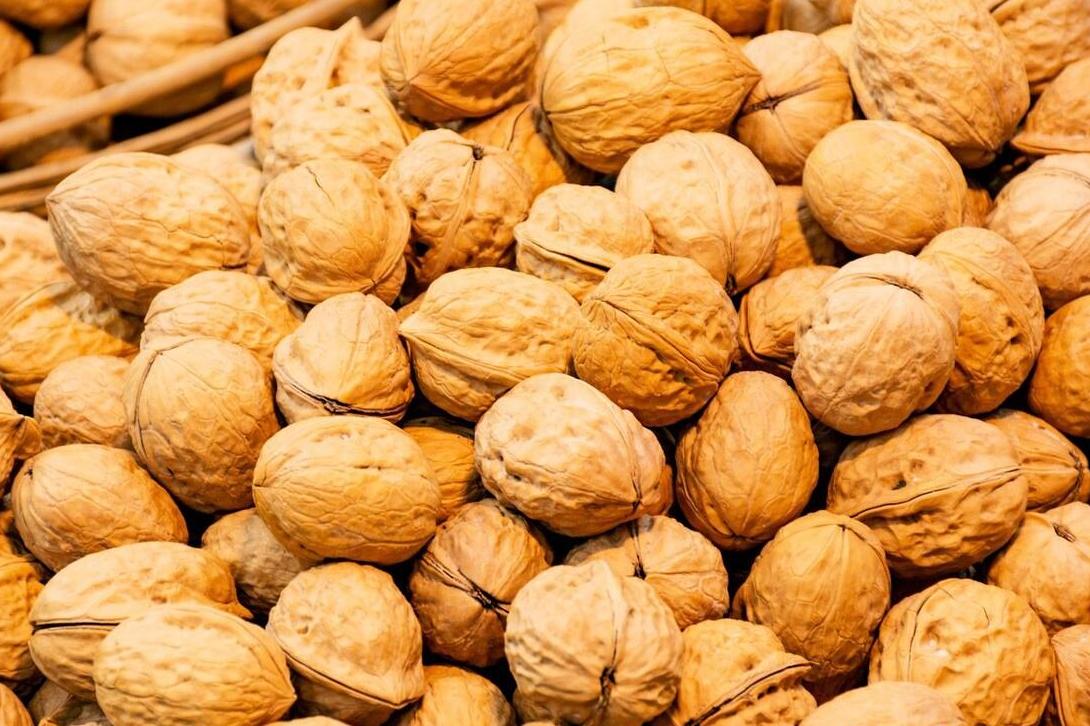 Revolusi Pengeringan Kacang Australia: Pengering Pompa Panas Tanpa Baki ...