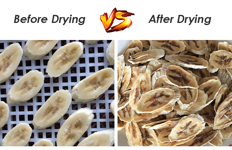 Secadora industrial de plátanos: Deshidratadora de alimentos con bomba ...