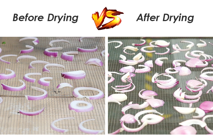 Ante et Post: Comparatio Visualis Exsiccationis Ceparum cum ...