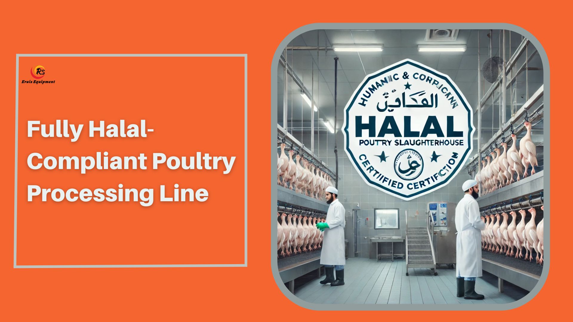 Building a Fully Halal-Compliant Poultry Processing Line | Eruis
