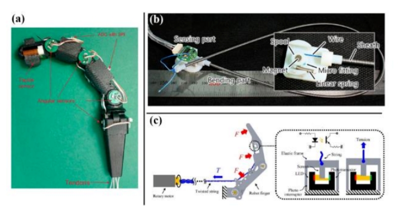 Industry Insight: Humanoid Robots – Dexterous Hands: Tesla’s Upgraded ...