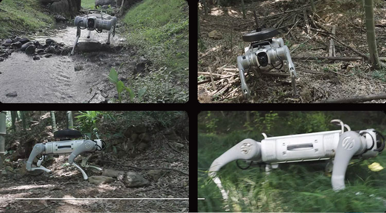 FOXTECH C1 Series Intelligent Bionic Quadruped Robot for Inspection & Research | FOXTECH ROBOT