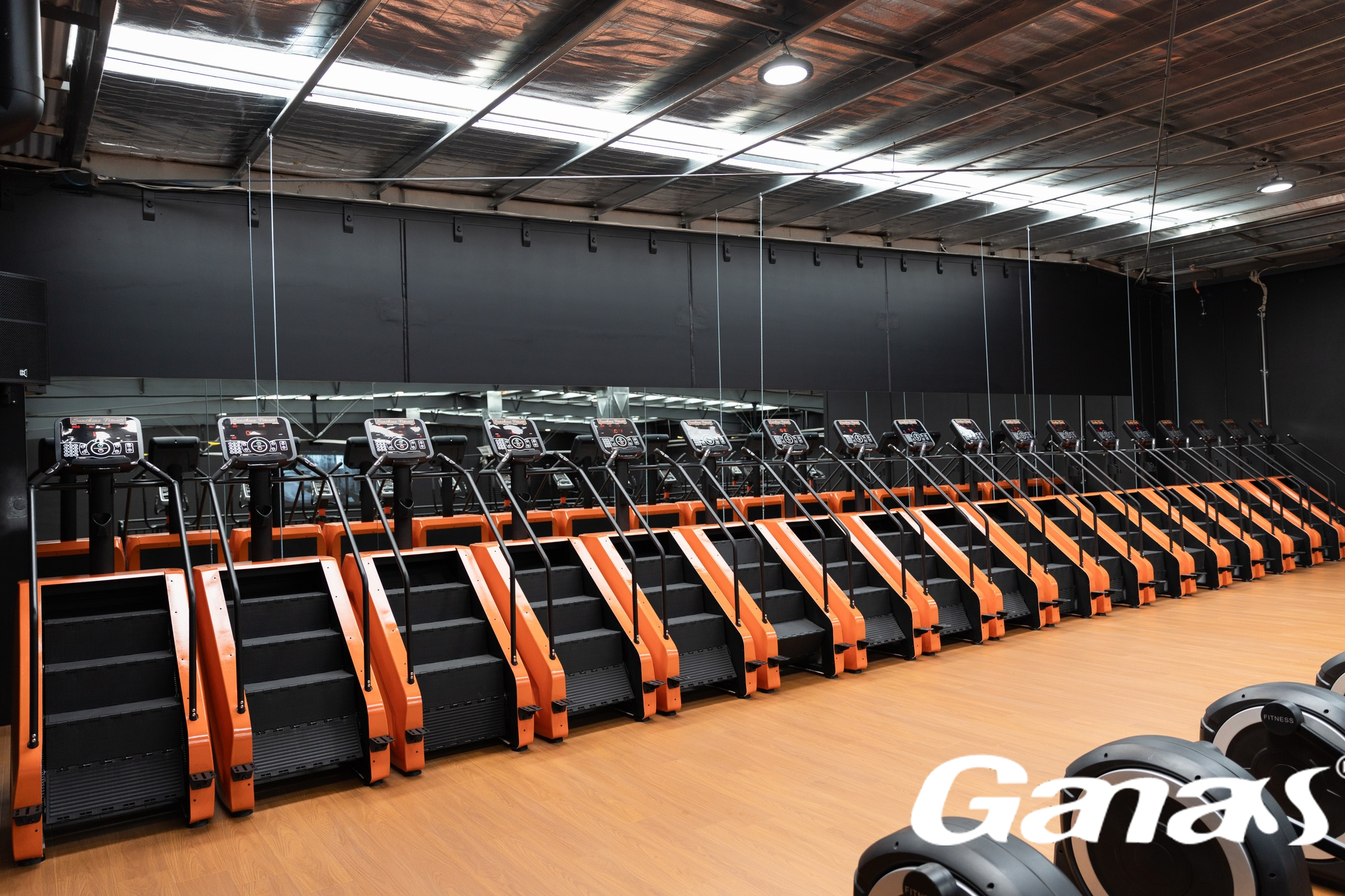 Professional Climbing Machine Reviews: Commercial Stair Climber Stepper ...