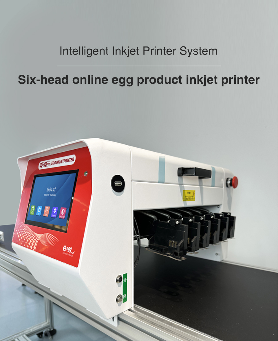 Egg Product Six-Head Inkjet Printer - Egg Printer | Faith