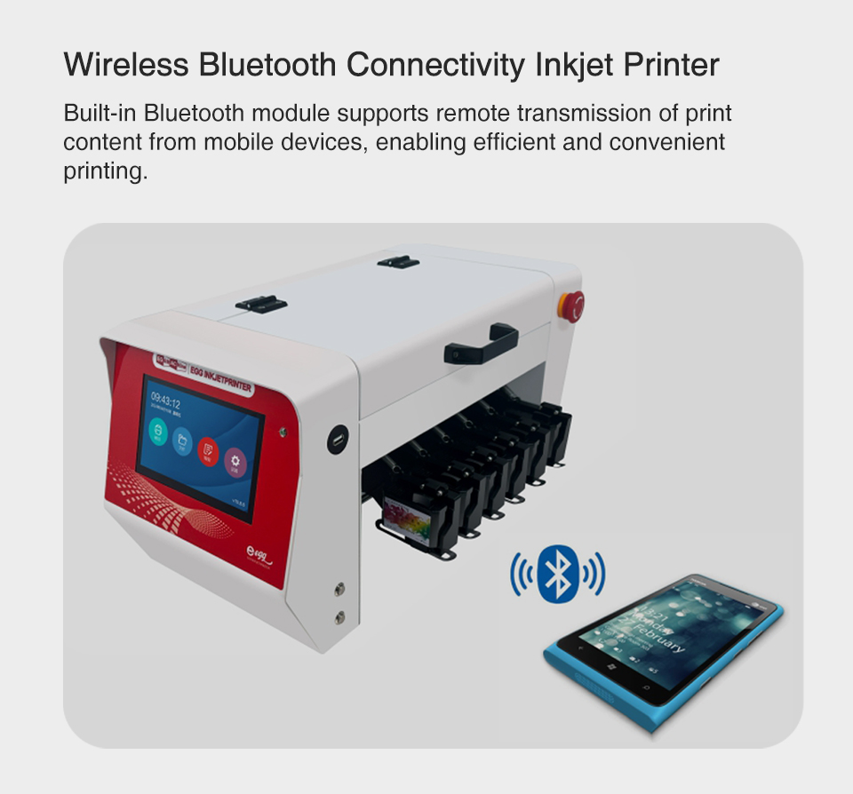 Egg Product Six-Head Inkjet Printer - Egg Printer | Faith