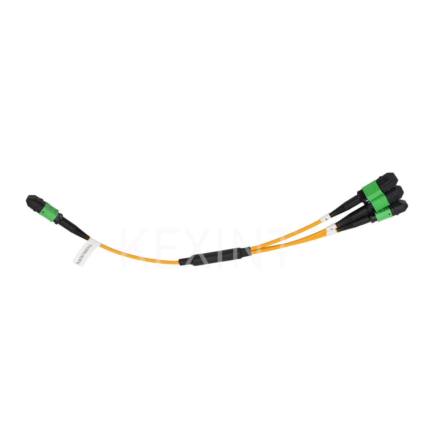 Fiber Optic Branch Jumper Type A MTP/MPO to 2*MTP/MPO 6 12 24 Cores SM ...